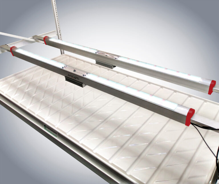 Under Canopy Lights | Catalyst - JumpLights®