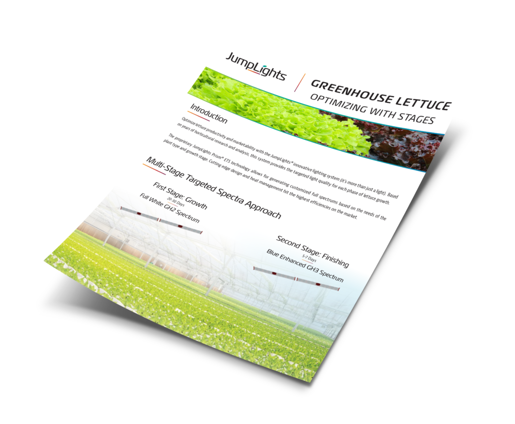 Beginners Guide To Greens In Controlled Environment Agriculture