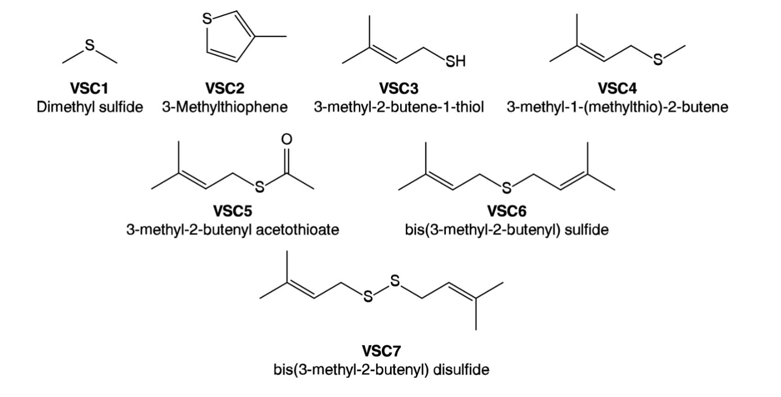 Volatile Compounds in Cannabis: From Synthesis to Scent - JumpLights®