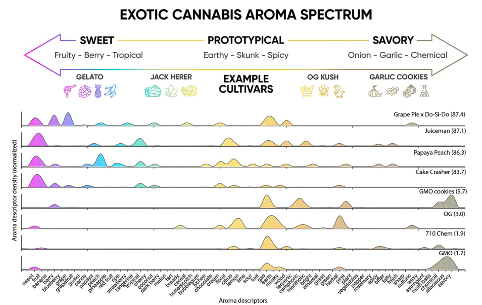 Volatile Compounds in Cannabis: From Synthesis to Scent - JumpLights®