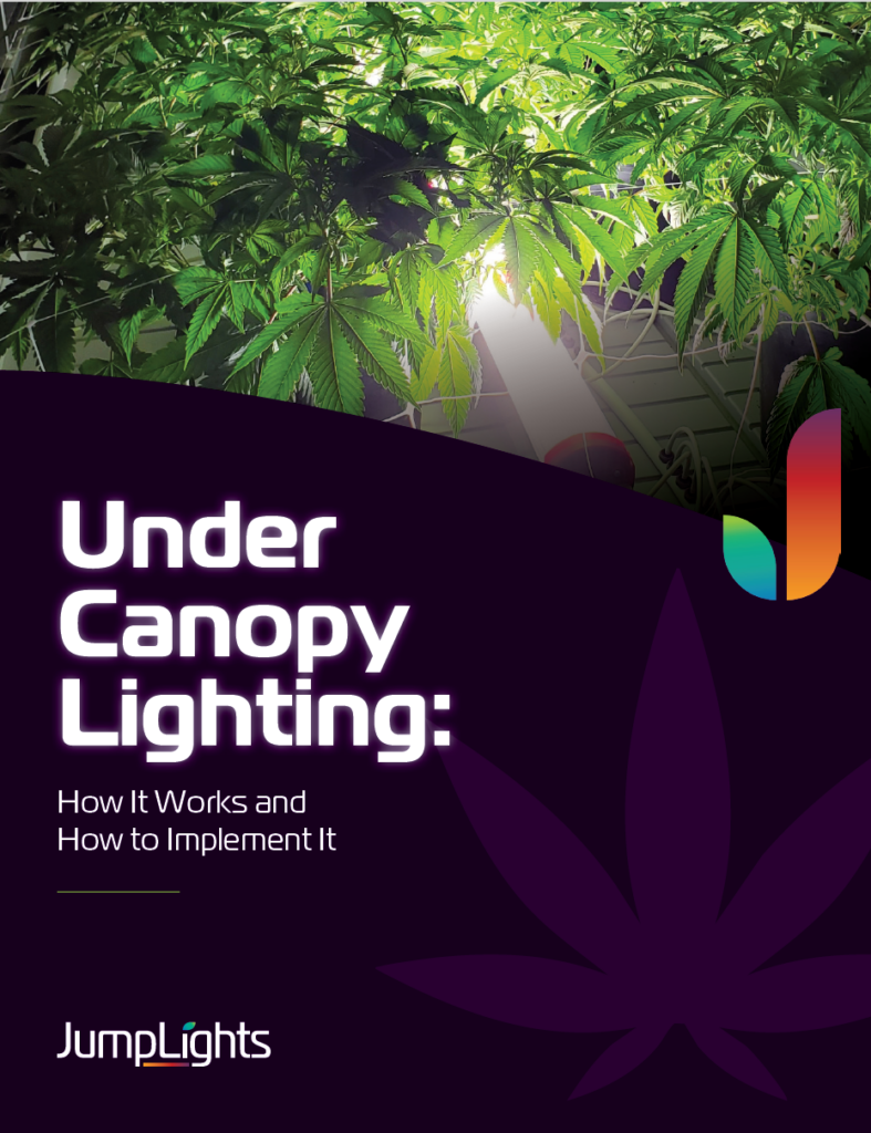 Under Canopy Lighting: How It Works and How to Implement It