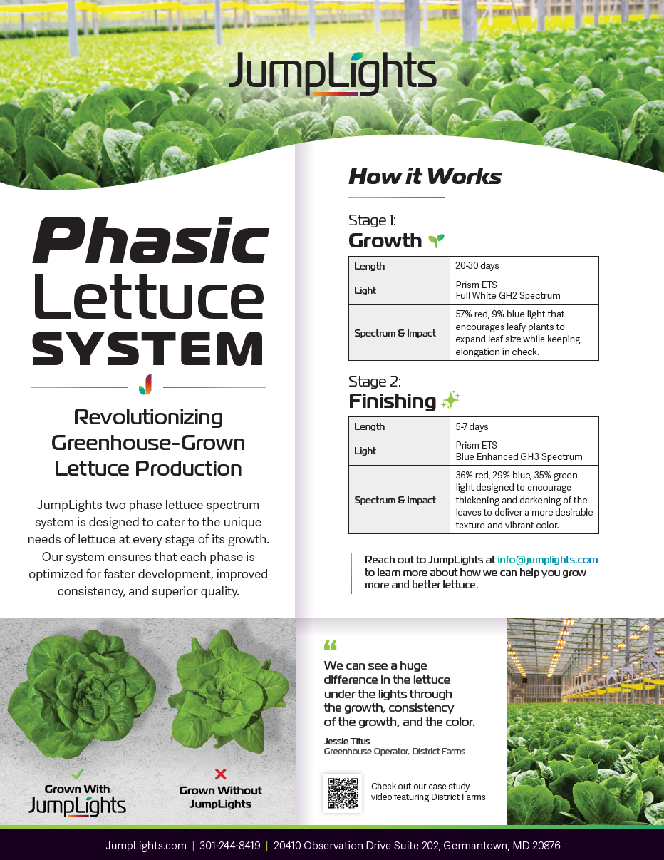 Phasic Lettuce System - JumpLights®